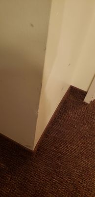 INNS OF KEESLER KEESLER AFB - 18 Photos & 14 Reviews - Fisher St ...