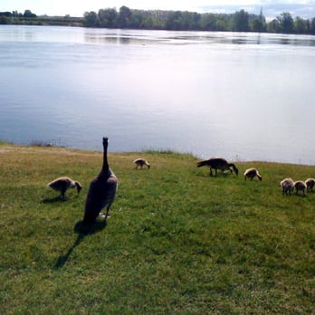 HOWARD AMON PARK - Updated June 2024 - 54 Photos & 25 Reviews - 500 ...