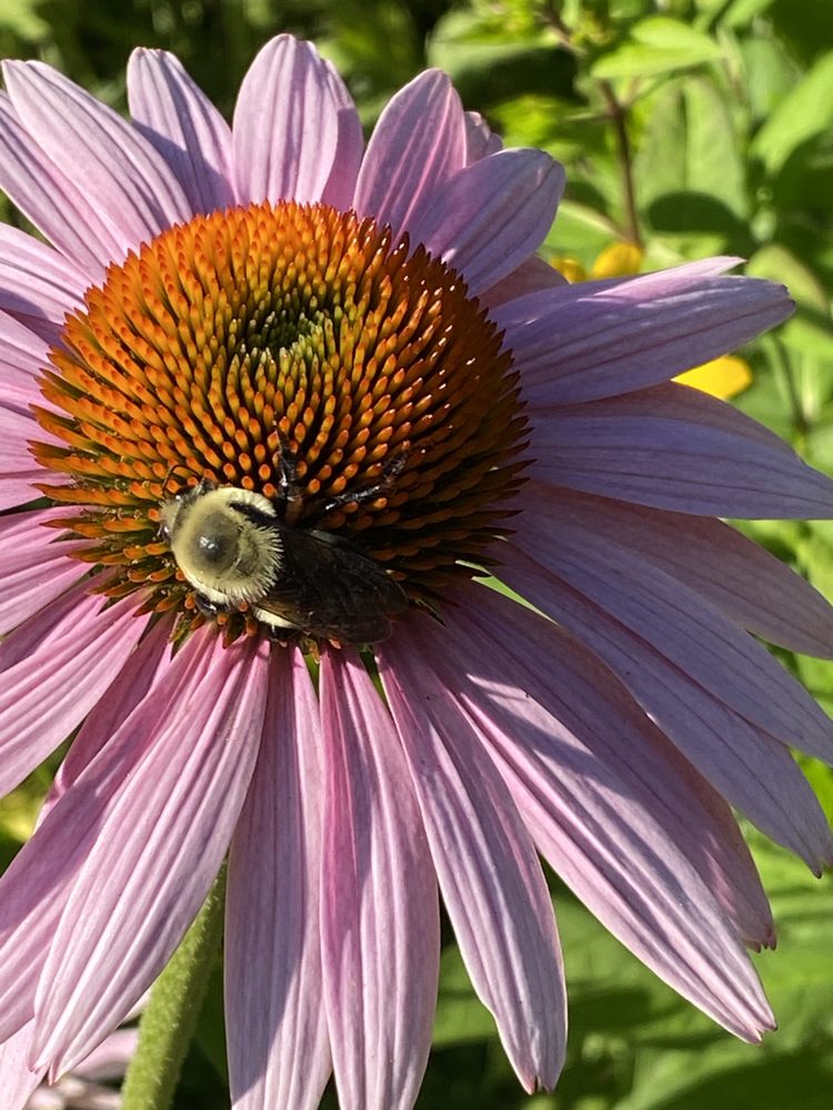 A & R MASONRY & LANDSCAPE DESIGN - Updated March 2025 - Worcester ...