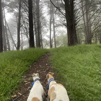 BERKELEY FIRE TRAILS - Updated September 2025 - 459 Photos & 109 ...