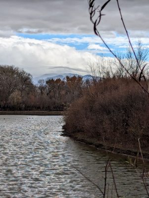 BACHECHI OPEN SPACE - Updated January 2026 - 32 Photos - 9521 Rio ...