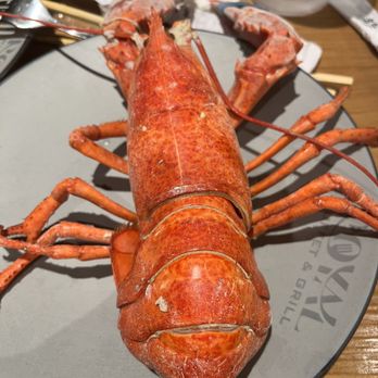 ROYAL BUFFET AND GRILL with photos - Updated August 2024 - 76 Photos ...