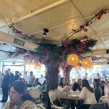 COCINA 35 - Updated April 2025 - 2531 Photos & 2092 Reviews - 1435 6th ...