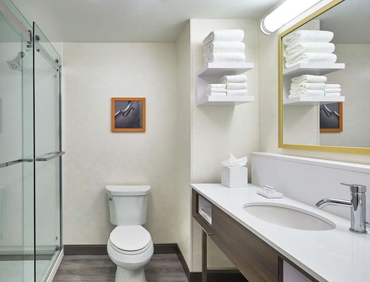 HAMPTON INN & SUITES ATLANTA MIDTOWN - 140 Photos & 23 Reviews - 1231 W ...