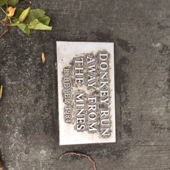 TONKIN PARK - Updated October 2025 - 14 Photos - 399 Williams Ave S ...