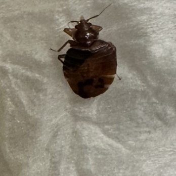 NORTHERN QUEEN INN - Updated January 2026 - 270 Photos & 173 Reviews ...