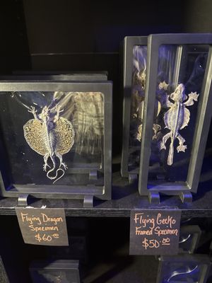 MICHIGAN MUSEUM OF HORROR - Updated May 2026 - 26 Photos & 13 Reviews ...