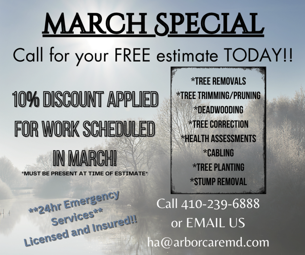 ARBOR CARE TREE EXPERTS - Updated December 2025 - 22 Photos & 14 ...