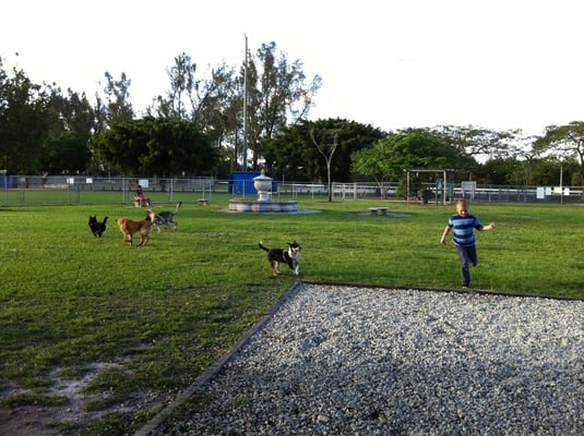 MIAMI SPRINGS DOG PARK - Updated November 2024 - 20 Photos & 16 Reviews ...