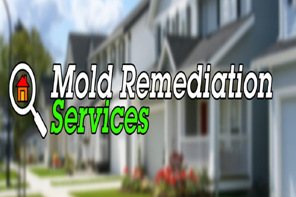 GLOBAL RESTORATION TEAM - Updated December 2024 - 1915 Broadway ...