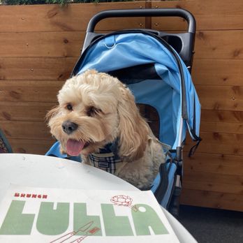 LULLA - Updated June 2025 - 225 Photos & 108 Reviews - 113 W 24th St ...