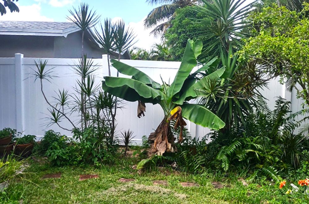 ERGEON - Updated October 2025 - 10 Reviews & 57 Photos - 1021 Ives ...