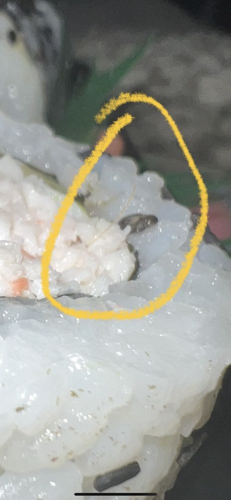 TOKYO EXPRESS - Updated December 2025 - 11144 149 Street NW, Edmonton ...