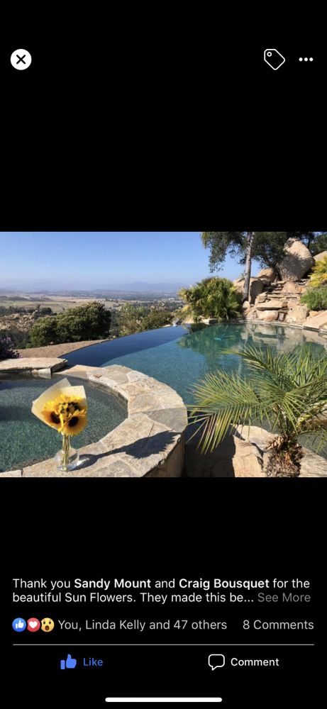 WEBB POOL & SPA - Updated June 2026 - 15 Reviews - 2344 Main St, Ramona ...