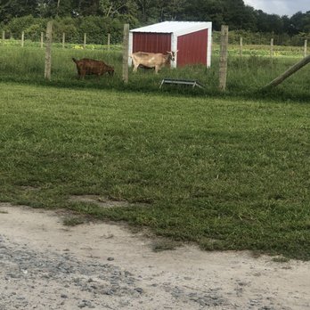 PARSONS FARMS PRODUCE - Updated August 2025 - 104 Photos & 41 Reviews ...