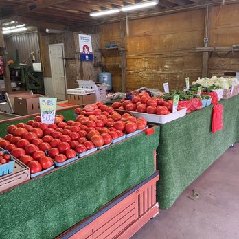 KENNY STEHR & SONS FARM - Updated November 2025 - 21 Photos - 29 Kettle ...