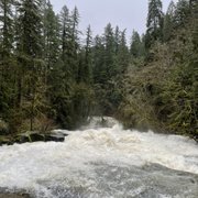 LACAMAS PARK - 55 Photos & 11 Reviews - Parks - 3400 NE Everett St ...