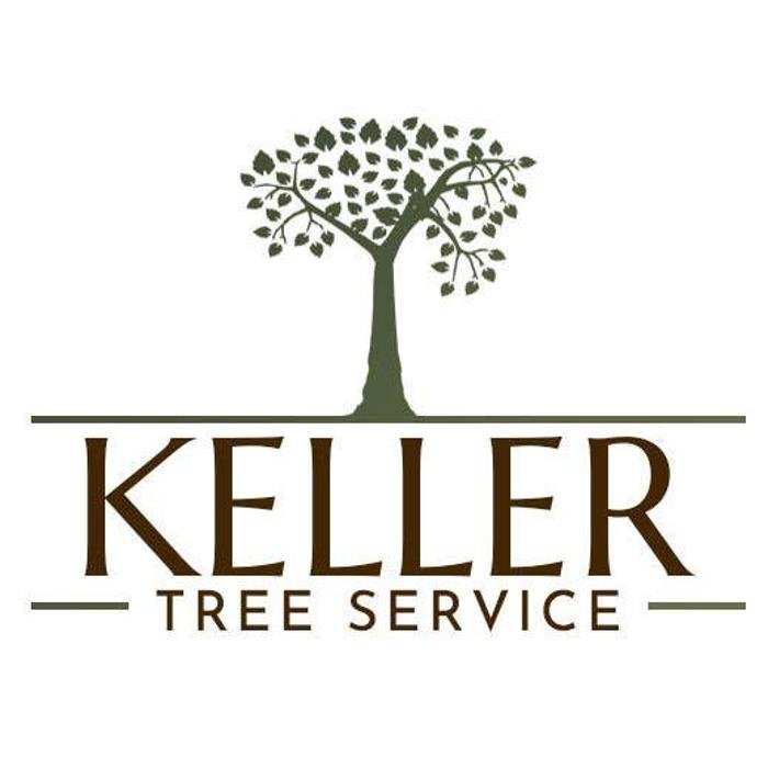 KELLER TREE SERVICE - Dallas, Texas - Tree Services - Phone Number - Yelp