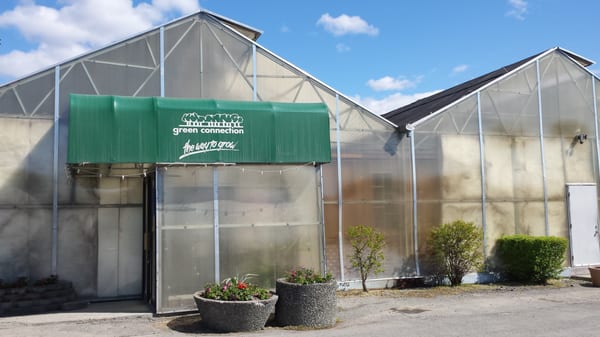 GREEN CONNECTION - Updated December 2025 - 14 Photos & 10 Reviews - 804 ...