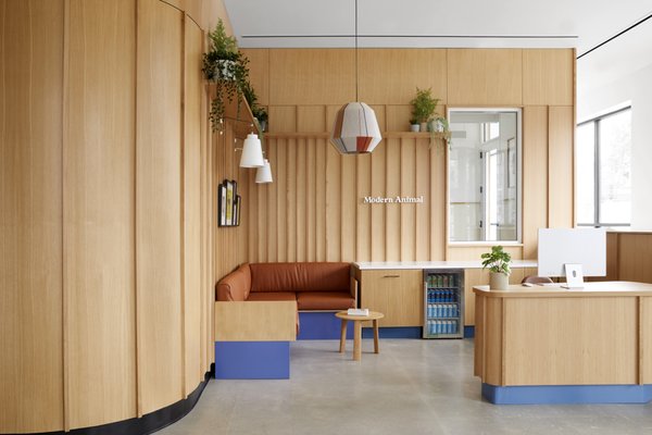 MODERN ANIMAL - Updated August 2025 - 64 Photos & 120 Reviews - 401 ...