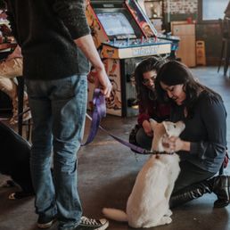 BOXCAR BAR + ARCADE - Updated December 2025 - 385 Photos & 155 Reviews ...