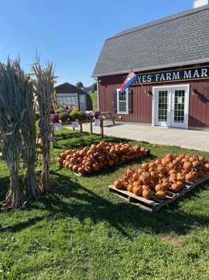 HAYES FARM 1868 - Updated August 2025 - 51 Photos - 269 Hayes Rd, Rocky ...