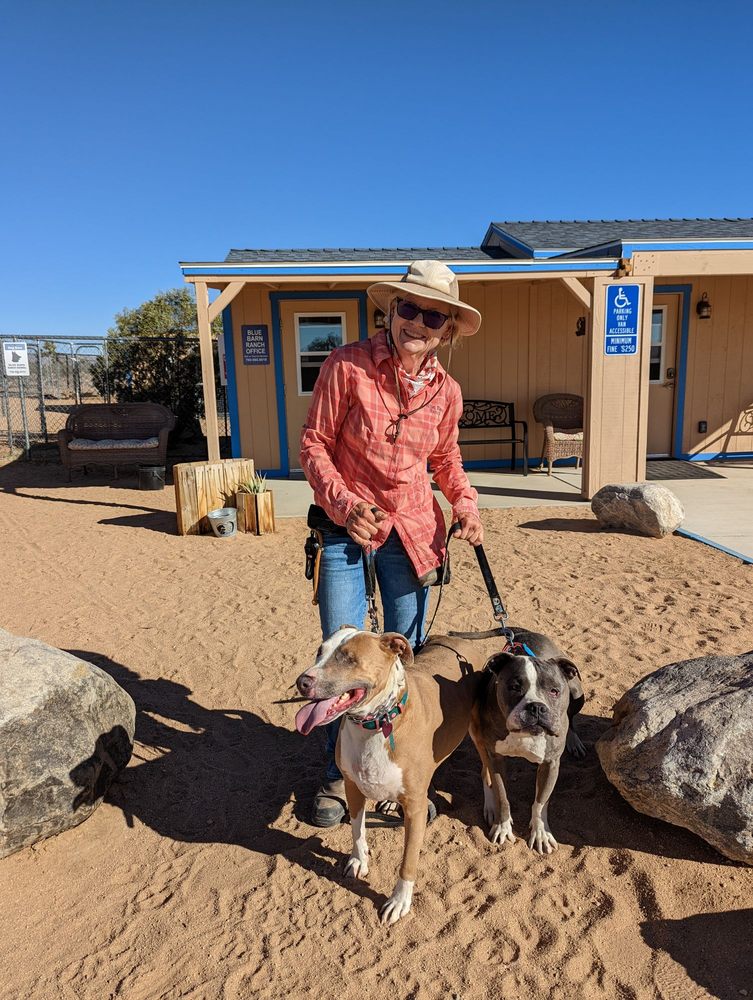 BLUE BARN RANCH - Updated December 2025 - 32 Photos & 41 Reviews - 3070 ...