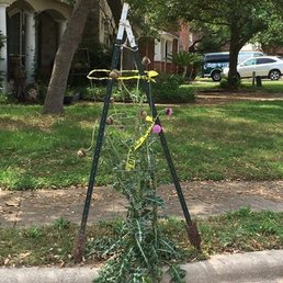 Spectrum Association Management Reviews | Read Customer Service Reviews ...