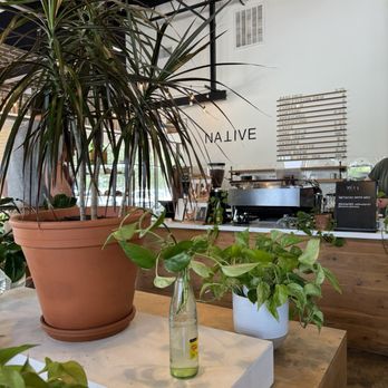 NATIVE COFFEE - Updated December 2024 - 270 Photos & 216 Reviews - 4319 ...