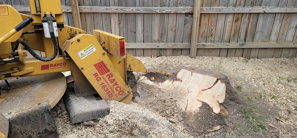 FOUR SEASONS TREE SERVICE & SNOW PLOWING - Updated October 2025 ...