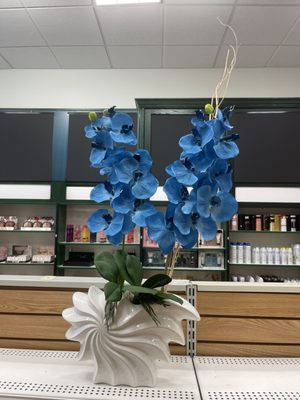 EAGLE RIDGE MALL - Updated September 2025 - 18 Photos & 24 Reviews ...