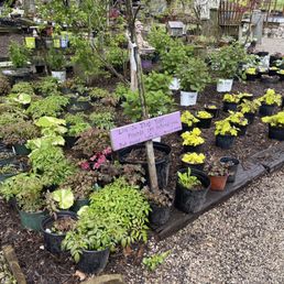 THE FARMHOUSE CAFE & TEA ROOM - Updated May 2025 - 261 Photos & 107 ...