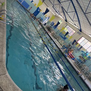 NOONAN FAMILY SWIM SCHOOL - 84 Photos & 110 Reviews - 2230 E Jewett St ...