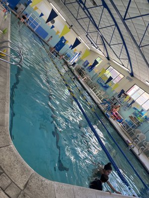 NOONAN FAMILY SWIM SCHOOL - Updated December 2025 - 88 Photos & 123 ...