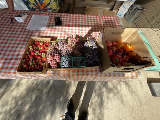 JOHNSON U-PICK FARM - Updated May 2024 - 73 Photos & 13 Reviews - 113 Higgins Ave, Gridley ...