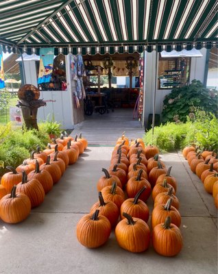 GRANDY GREENHOUSE AND FARM MARKET - Updated August 2025 - 164 Photos ...