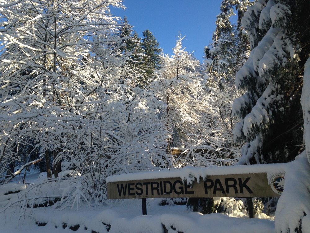 WESTRIDGE PARK - Updated July 2025 - 10 Photos - 39 Westridge Dr, Lake ...