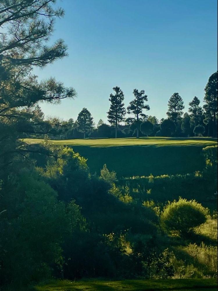 BISON GOLF CLUB - Updated January 2026 - 37 Photos & 21 Reviews - 1 N ...