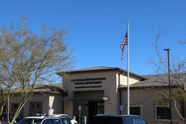 LAS VEGAS METROPOLITAN POLICE DEPARTMENT-SUMMERLIN AREA COMMAND ...