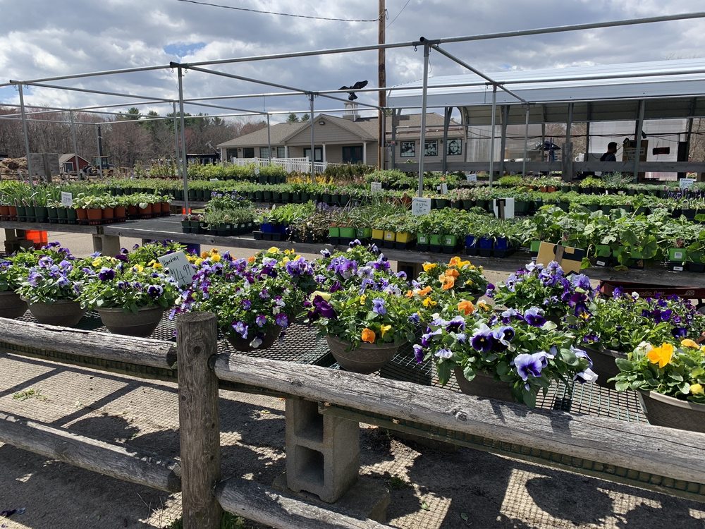 WARREN’S BARGAINS GALORE - Updated May 2026 - 18 Photos - 20 Austin ...