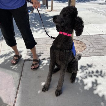 MURRIETA PUBLIC LIBRARY - Updated December 2025 - 200 Photos & 46 ...