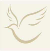 JENKINS JOSEPH - Updated January 2026 - 2011 Grayland Ave, Richmond ...