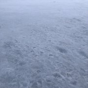 CASTLE LAKE CAMPGROUND - 43 Photos & 13 Reviews - 204 West Alma, Mount ...