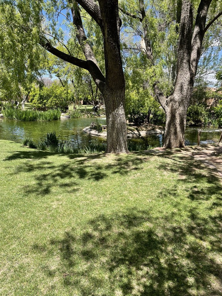 NEDRA MATTEUCCI GALLERIES - Updated May 2026 - 18 Photos - 1075 Paseo ...