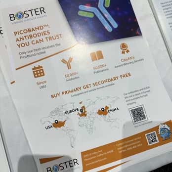 PRINTIVITY - Updated December 2025 - 107 Photos & 157 Reviews - 8225 ...