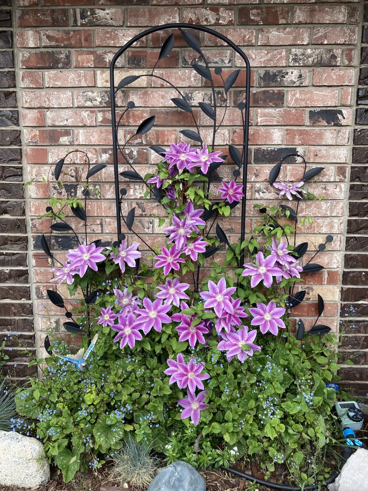 BROWSERS CORNER BOOK STORE - Updated October 2025 - 10 Photos - 711 E ...