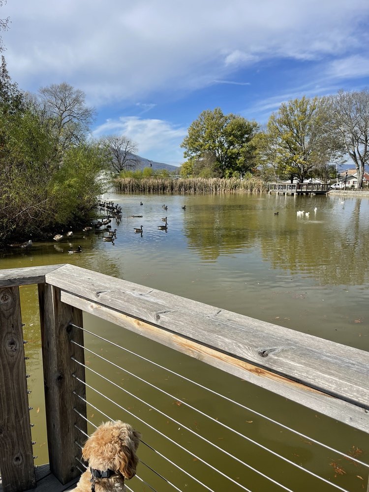 EAST LAKE POND - Updated October 2025 - 17 Photos - 3000 E 34th St ...