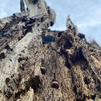 SHELL RIDGE OPEN SPACE - Updated October 2025 - 61 Reviews & 424 Photos ...