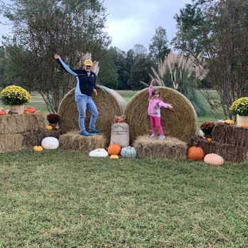 SKITTS MOUNTAIN FARMS - Updated December 2025 - 45 Photos - 7883 GA-254 ...