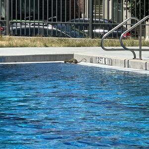 LAKEWOOD LINK RECREATION CENTER/POOL - Updated March 2026 - 20 Reviews ...